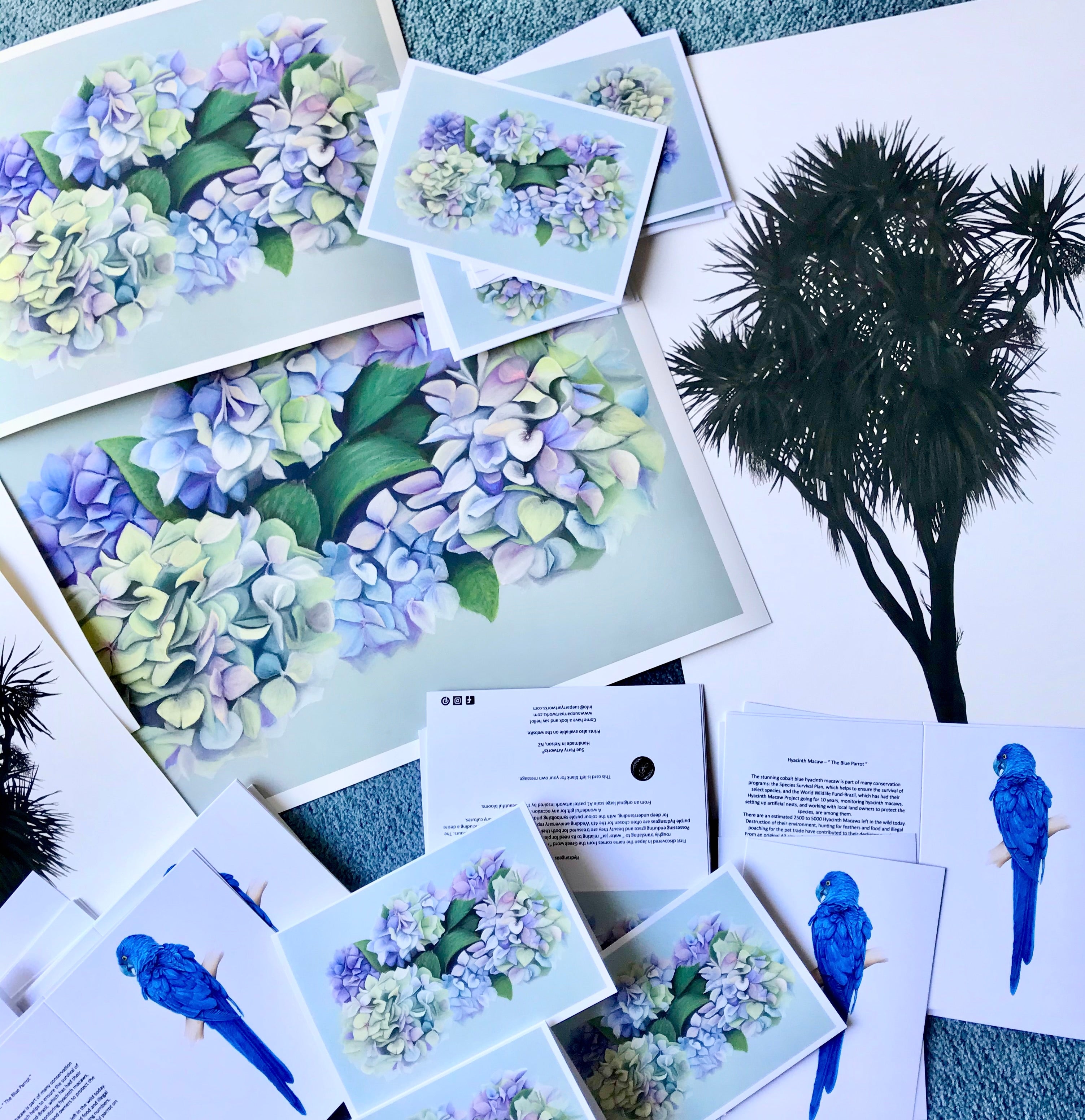 Art Prints – Sue Parry Artworks & Designs